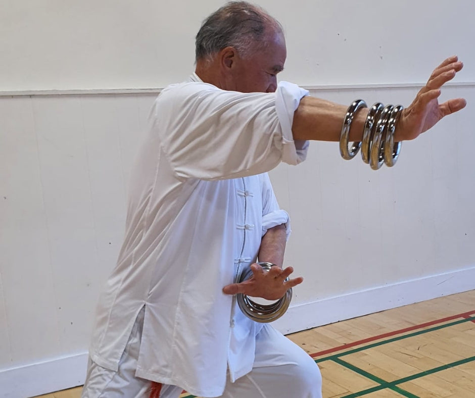 Iron Rings - Kung Fu Strength Training 10 ring set 6.5kgs